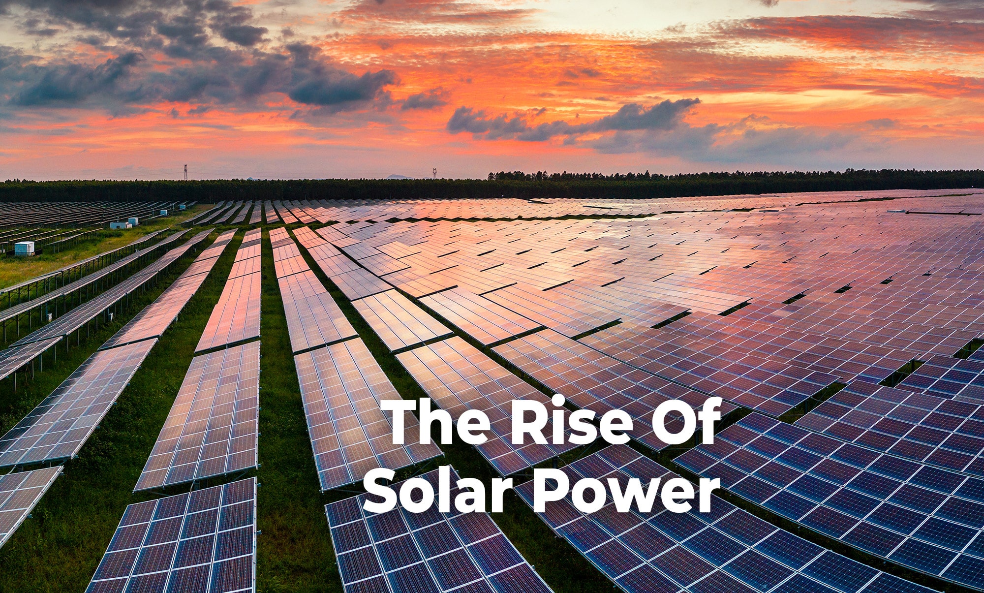 The Rise of Solar Power - Novus Energy